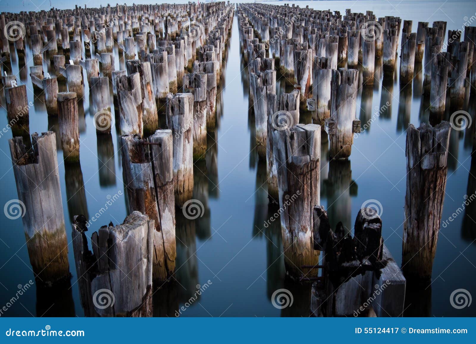 Timber Pier supports stock image. Image of melbourne - 55124417