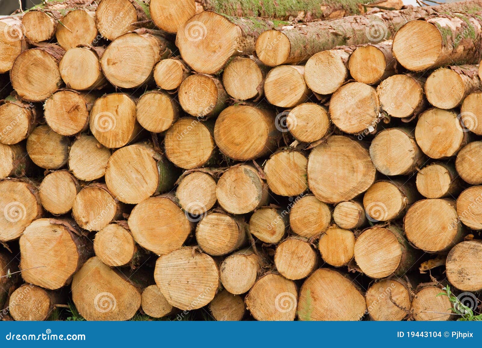 Timber pile stock photo. Image of arboriculture, texture - 19443104