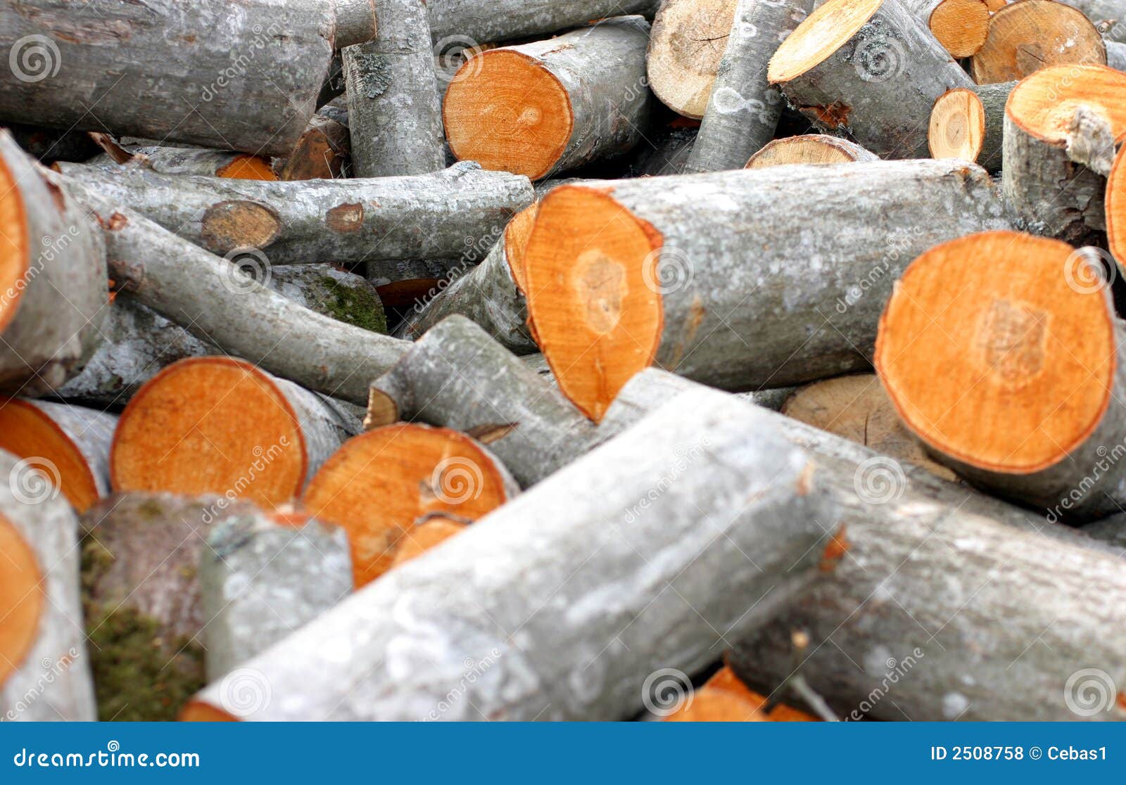 Timber Pile Picture. Image: 2508758