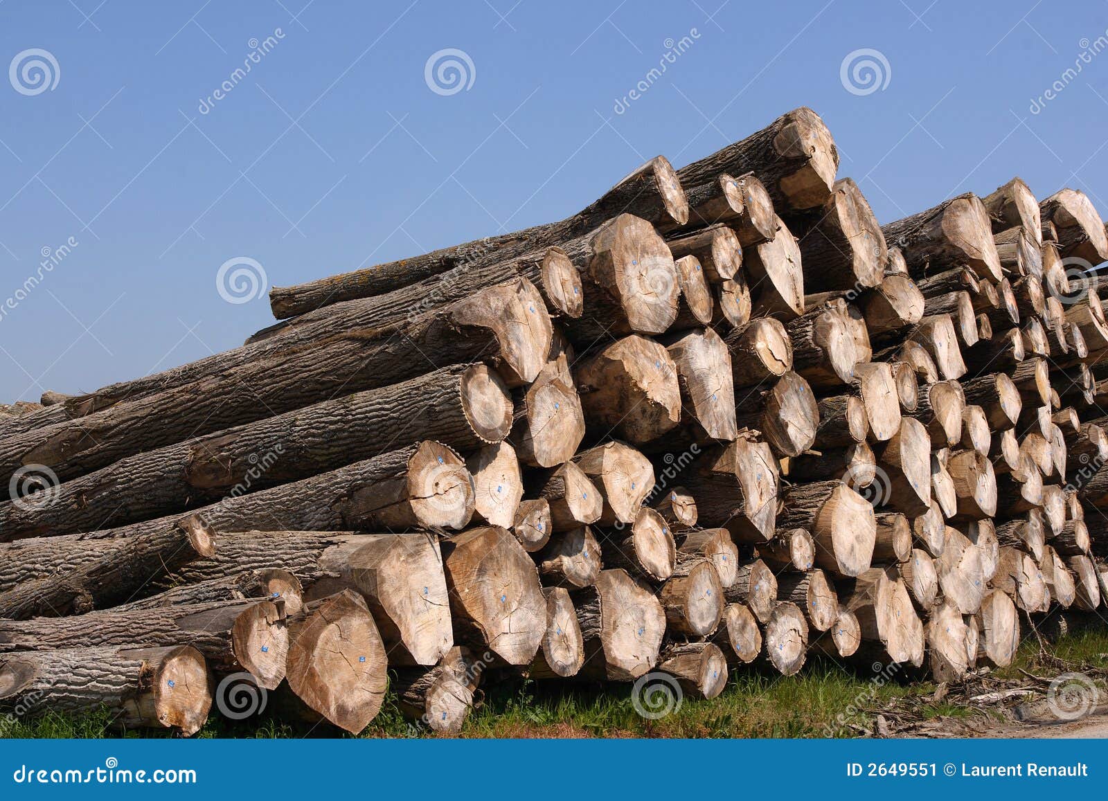 Timber pile stock image. Image of rural, pine, trunk, wood - 2649551