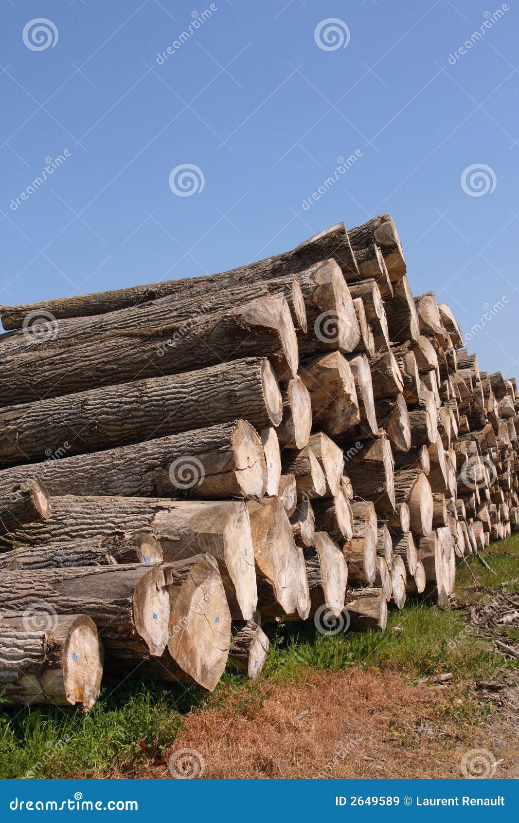 Timber pile stock image. Image of stacked, trunk, bark - 2649589