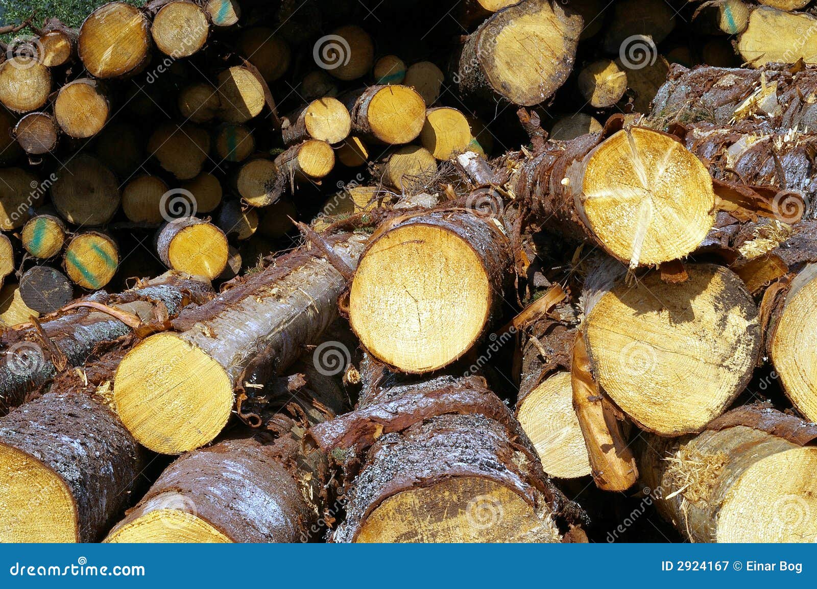 Timber Pile stock image. Image of timber, texture, industrial - 2924167