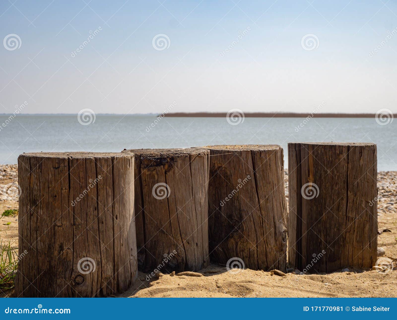 Timber pile on the beach stock image. Image of coastline - 171770981