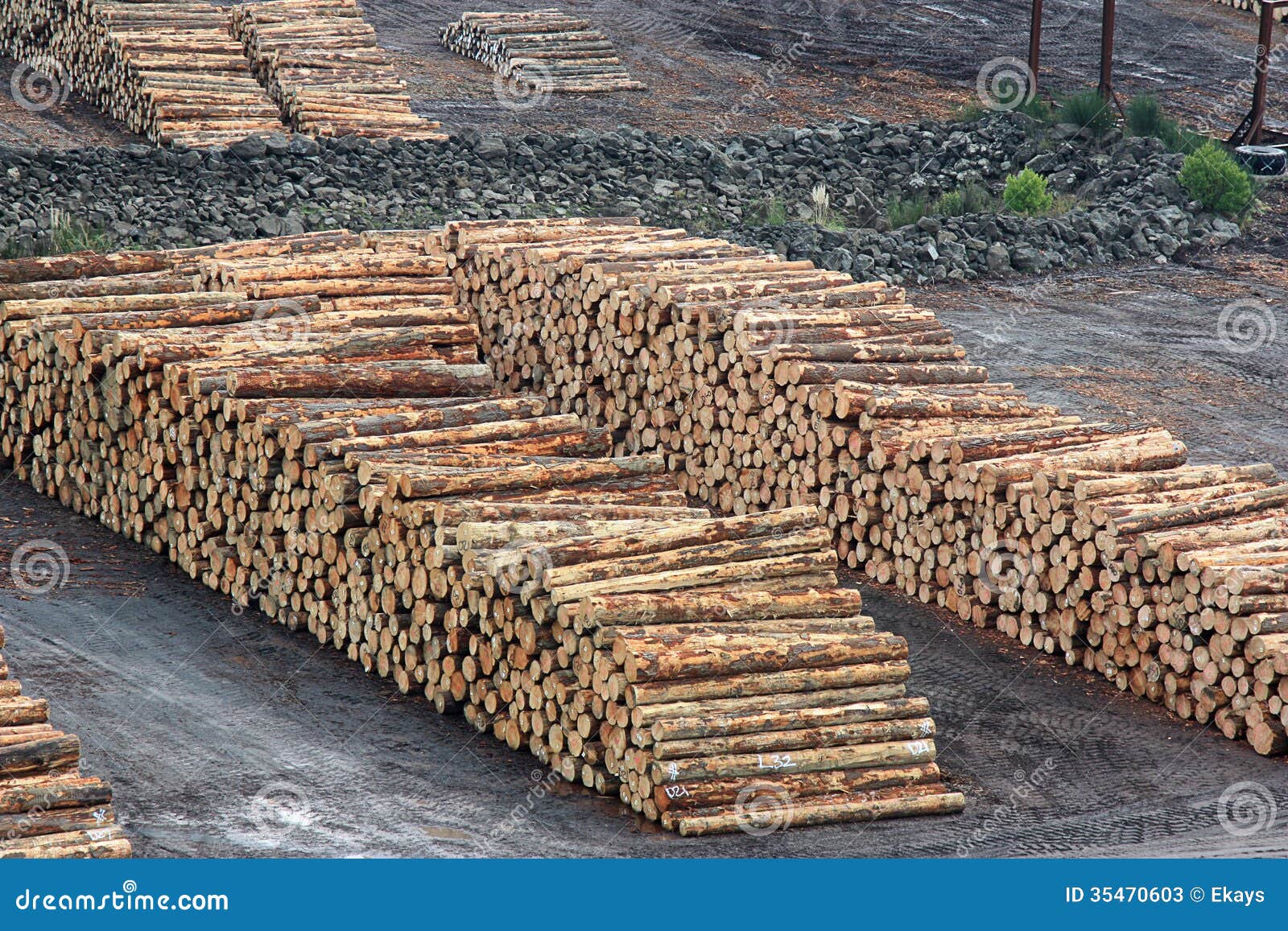 Timber pile stock image. Image of firewood, mill, trees - 35470603