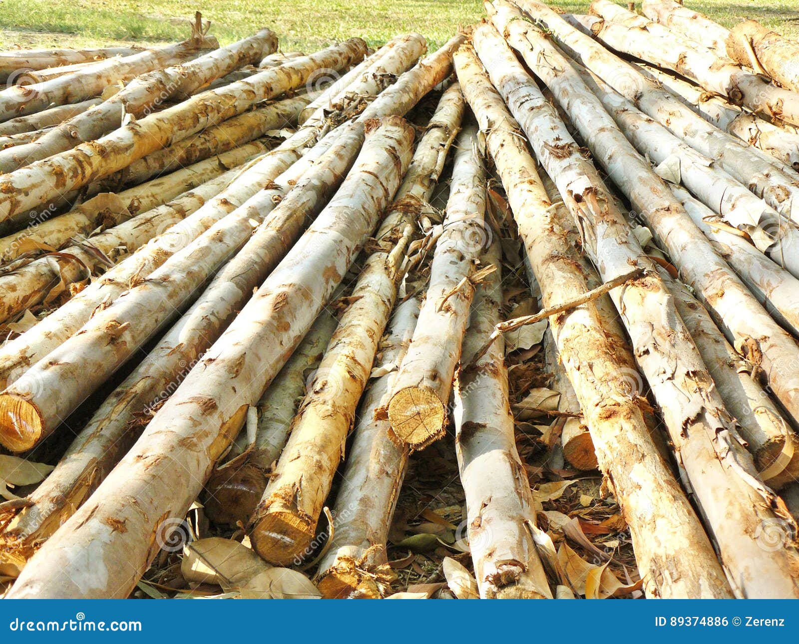 Timber the pile of logs stock photo. Image of lumber - 89374886