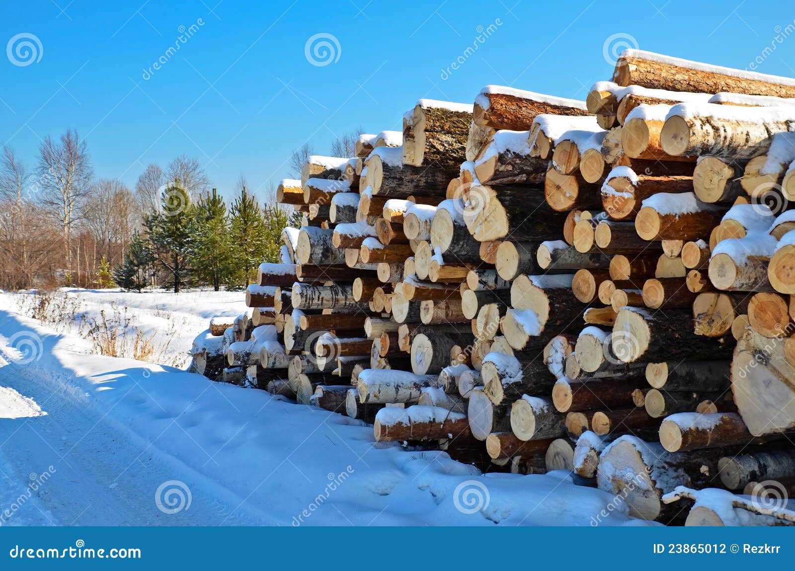 Timber pile in the snow stock photo. Image of outdoors - 23865012