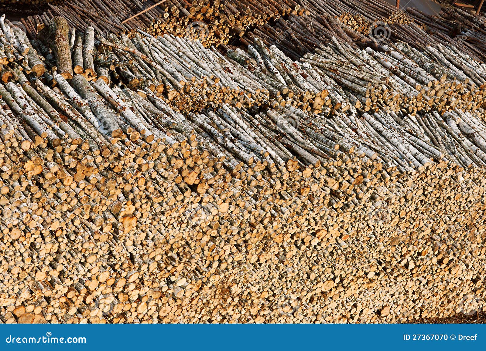 Pulpwood In A Timber Stack Royalty-Free Stock Photo | CartoonDealer.com ...