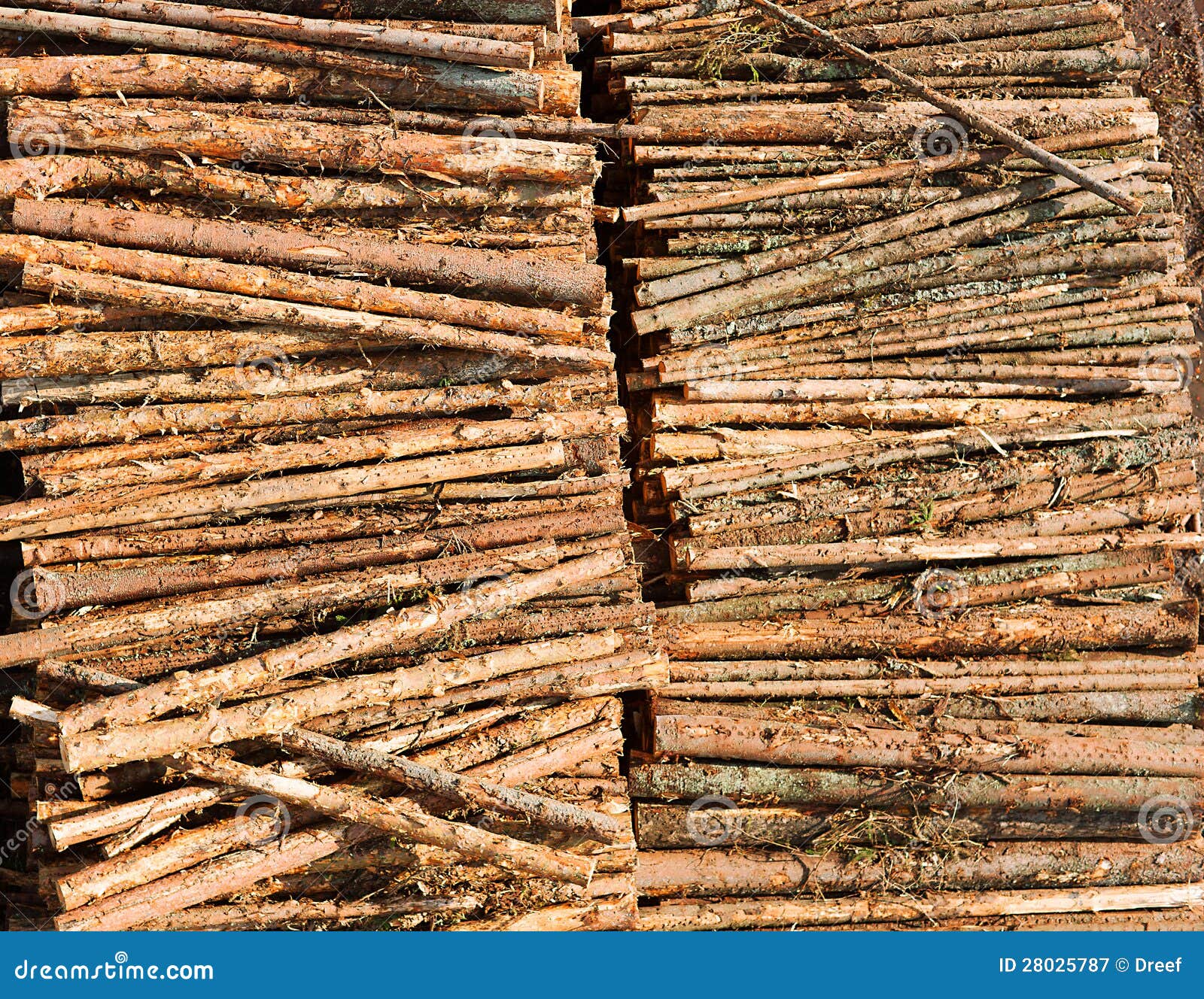 Pulpwood In A Timber Stack Royalty-Free Stock Photo | CartoonDealer.com ...