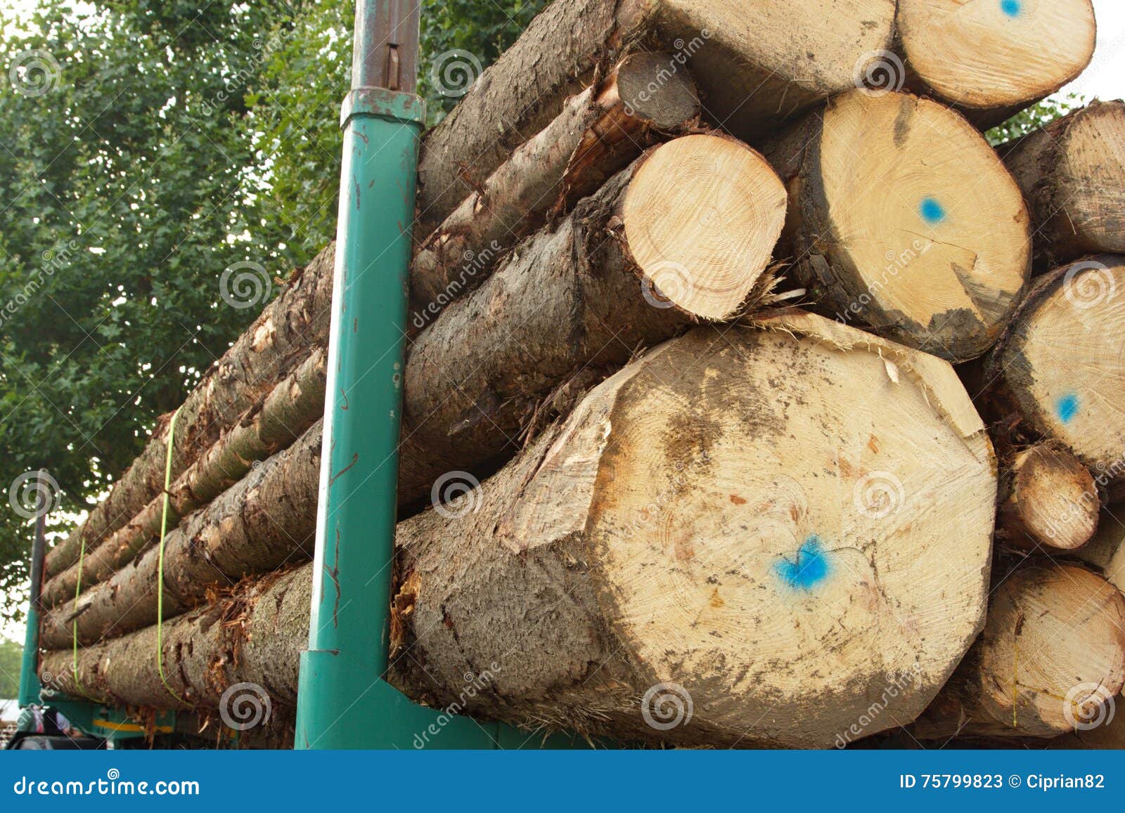 Timber resources close-up editorial stock photo. Image of interior ...