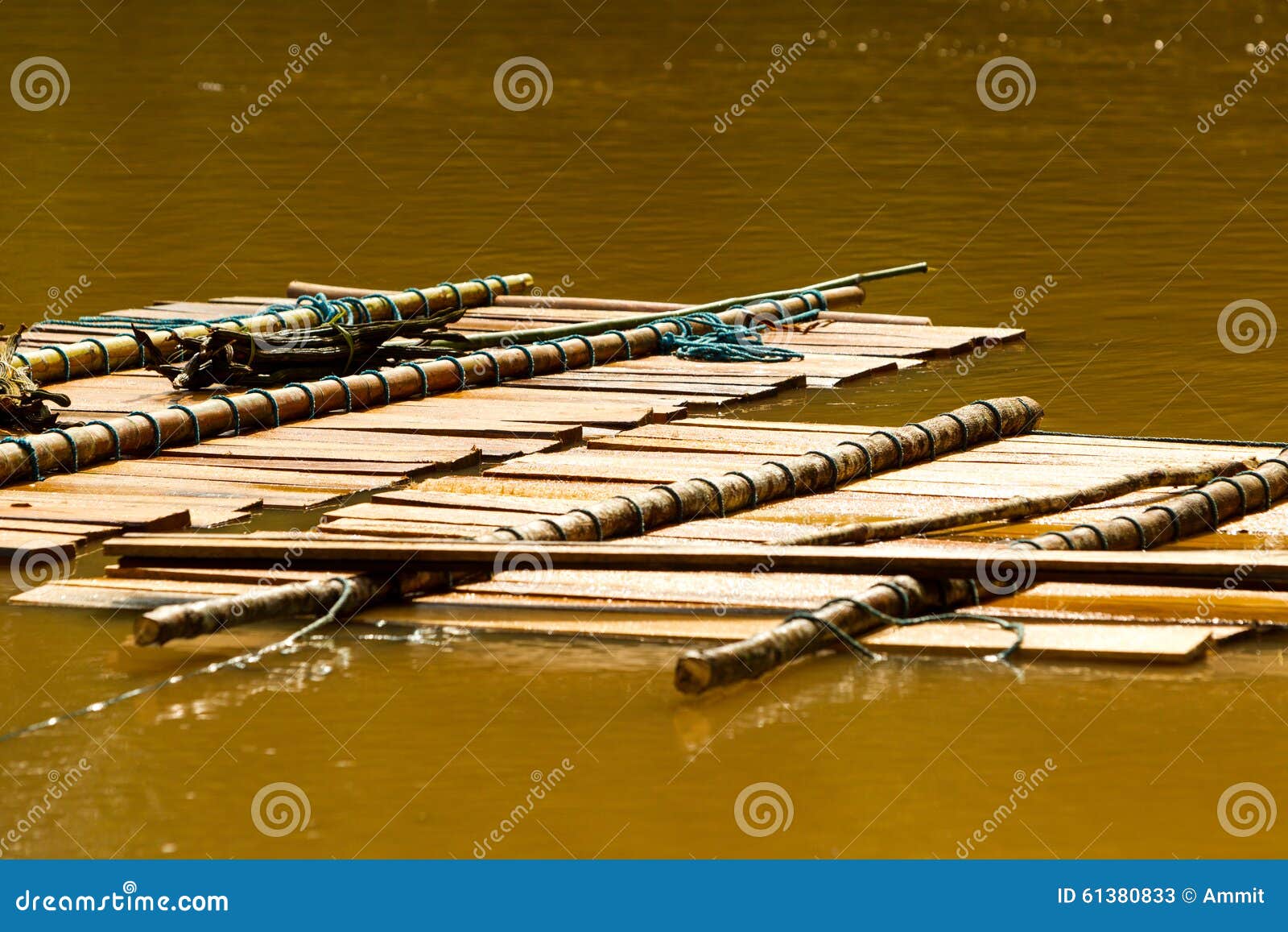 Timber River Transportation Stock Image - Image of buoyant, rainforest ...