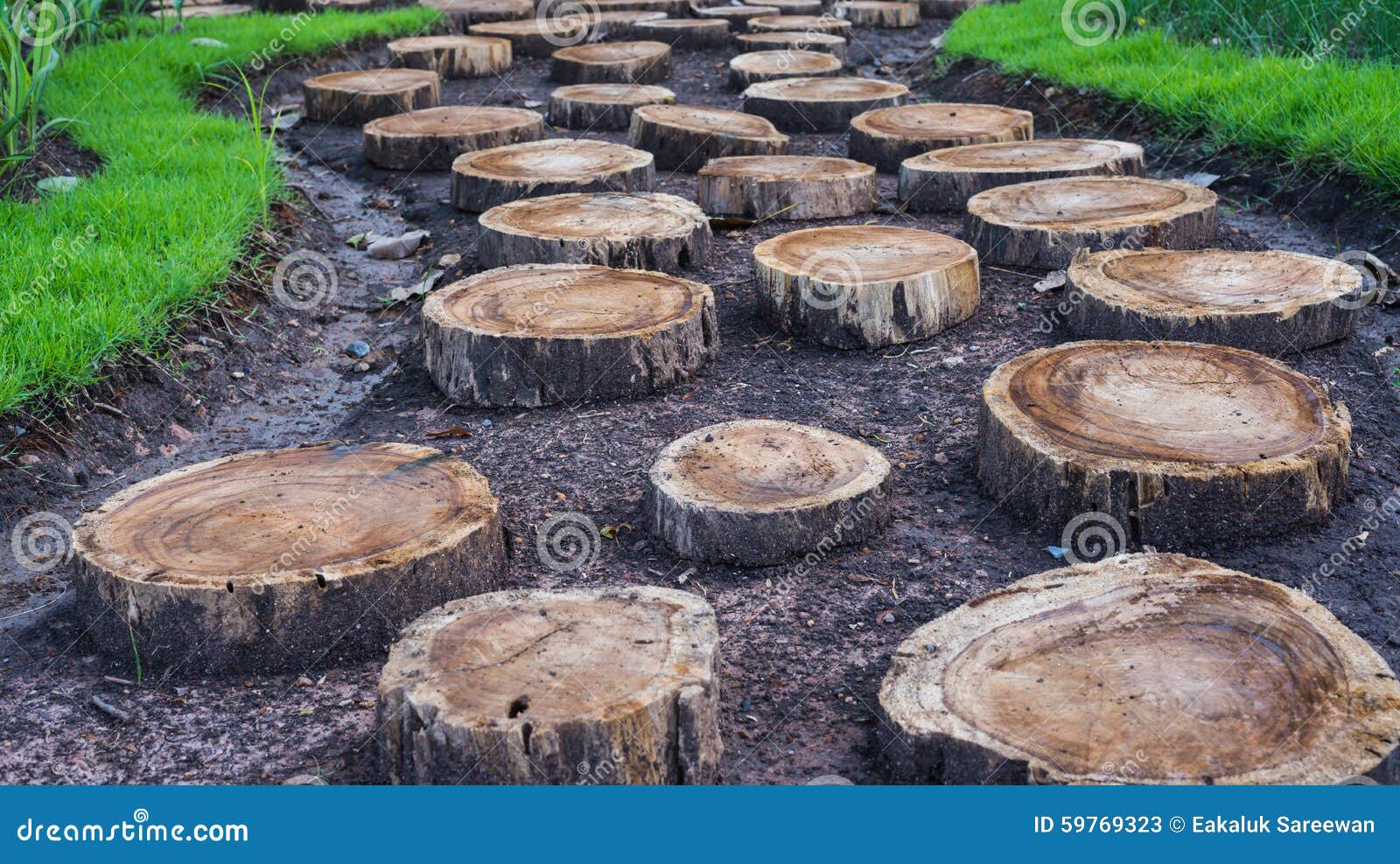 Timber road garden stock image. Image of logging, industrial - 59769323