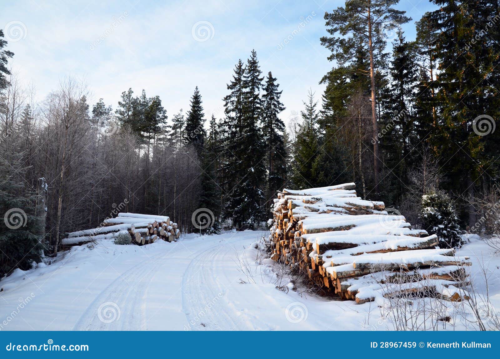 Timber at roadside stock image. Image of road, pile, lumber - 28967459