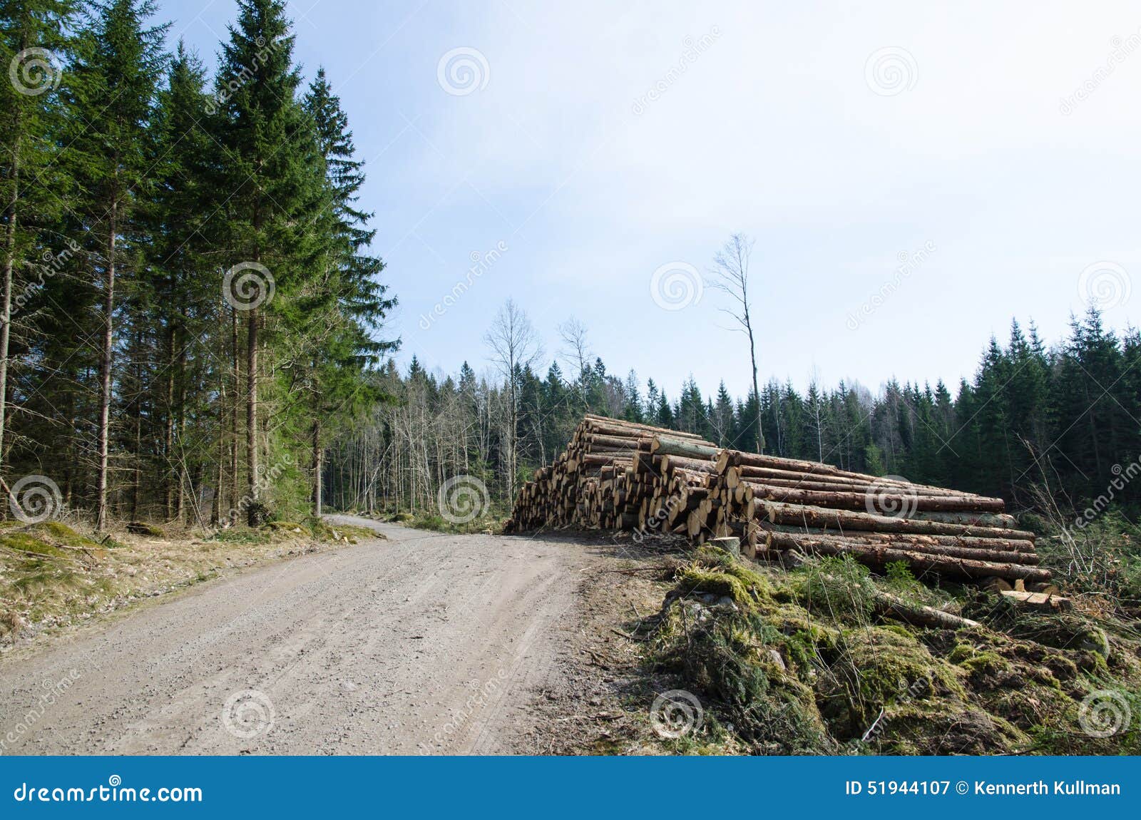Timber at roadside stock image. Image of scene, country - 51944107
