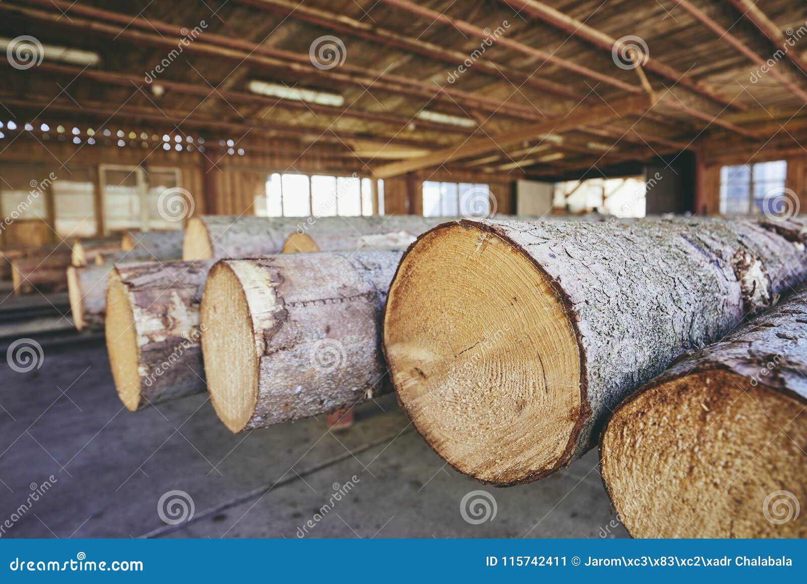 Timber at the sawmill stock image. Image of mill, manufacturing - 115742411