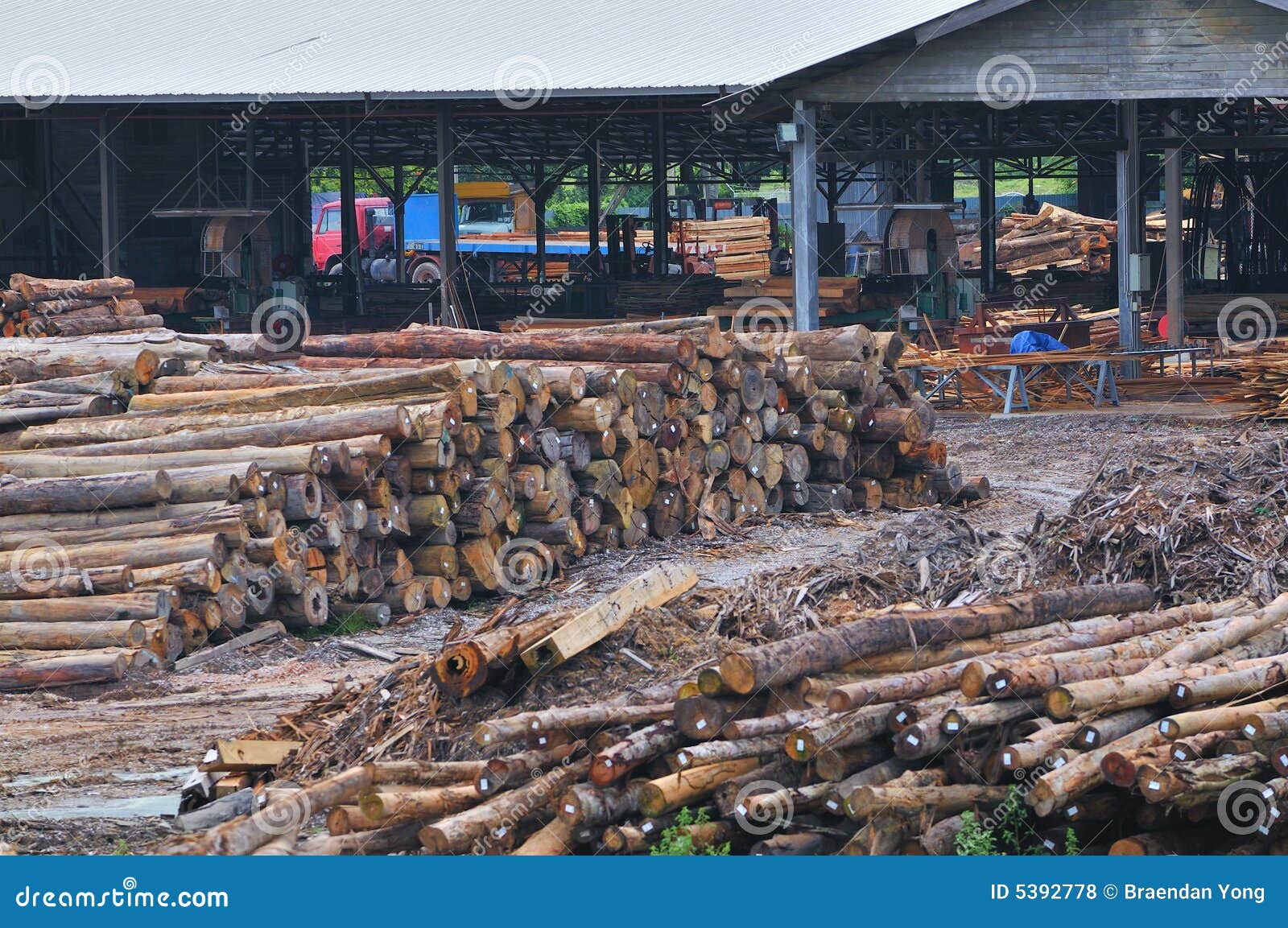 Timber Sawmill Series 5 Royalty Free Stock Photos - Image: 5392778