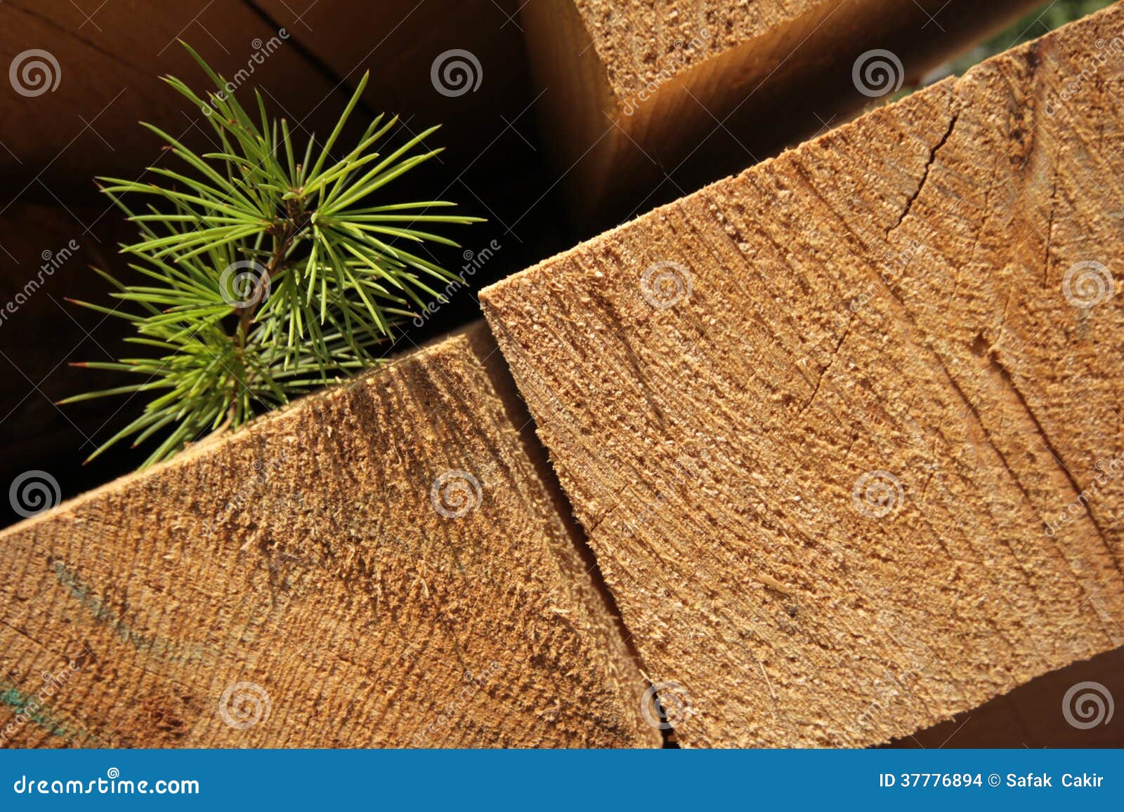 Timber stock photo. Image of boards, detail, cone, decor - 37776894