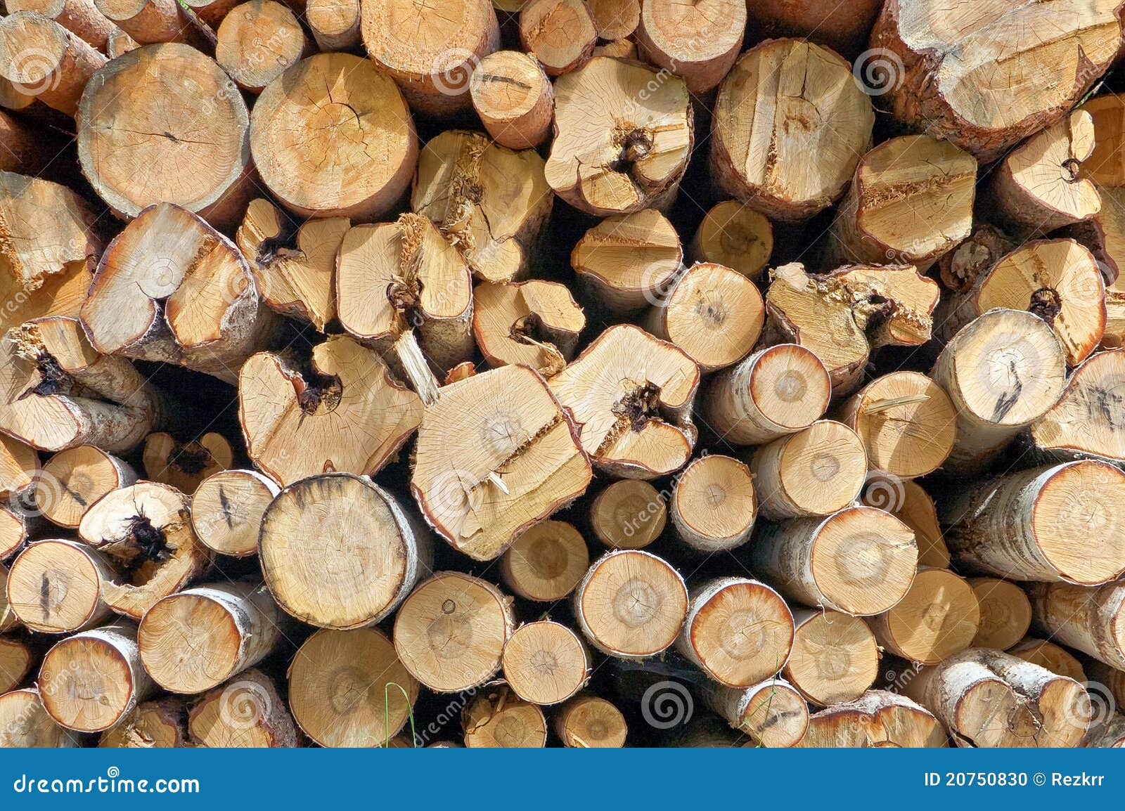 Timber stack stock photo. Image of pattern, horizontal - 20750830