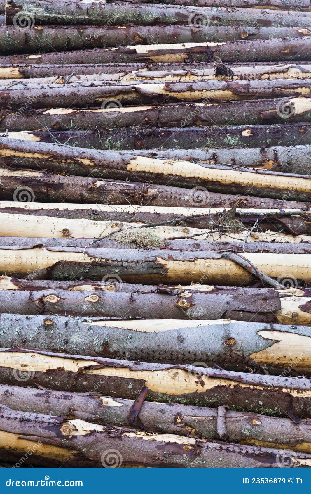 Timber Stack stock image. Image of treetrunk, scenic - 23536879