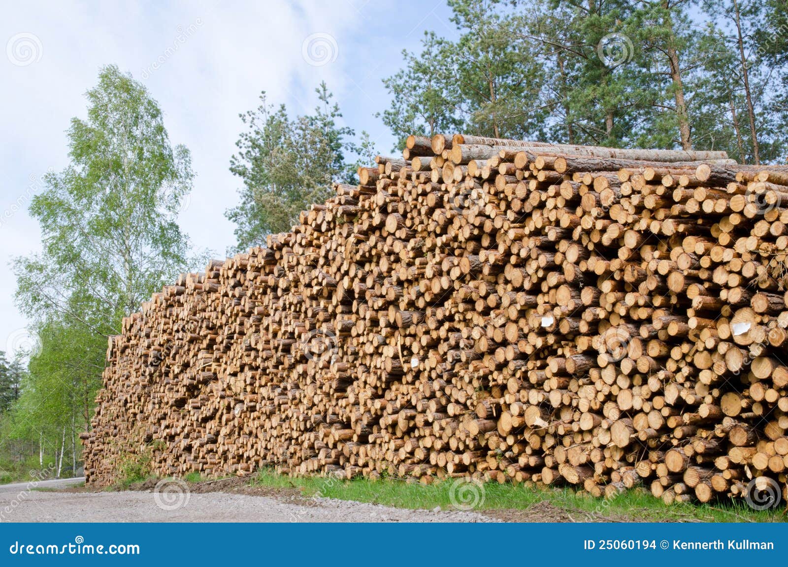 Timber stack stock photo. Image of brown, firewood, abstract - 25060194