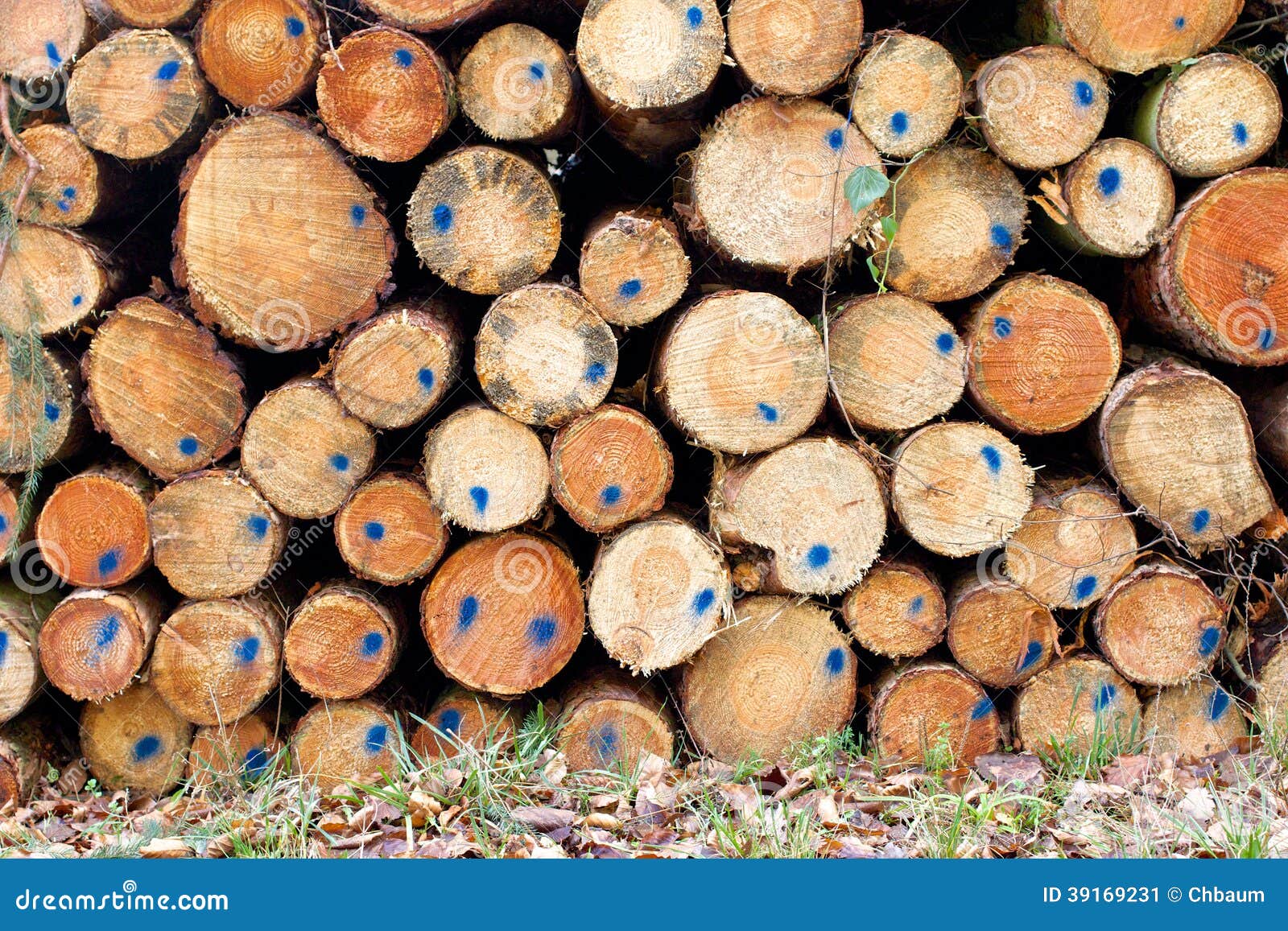Timber Stack Blue Markings Stock Photos - Free & Royalty-Free Stock ...