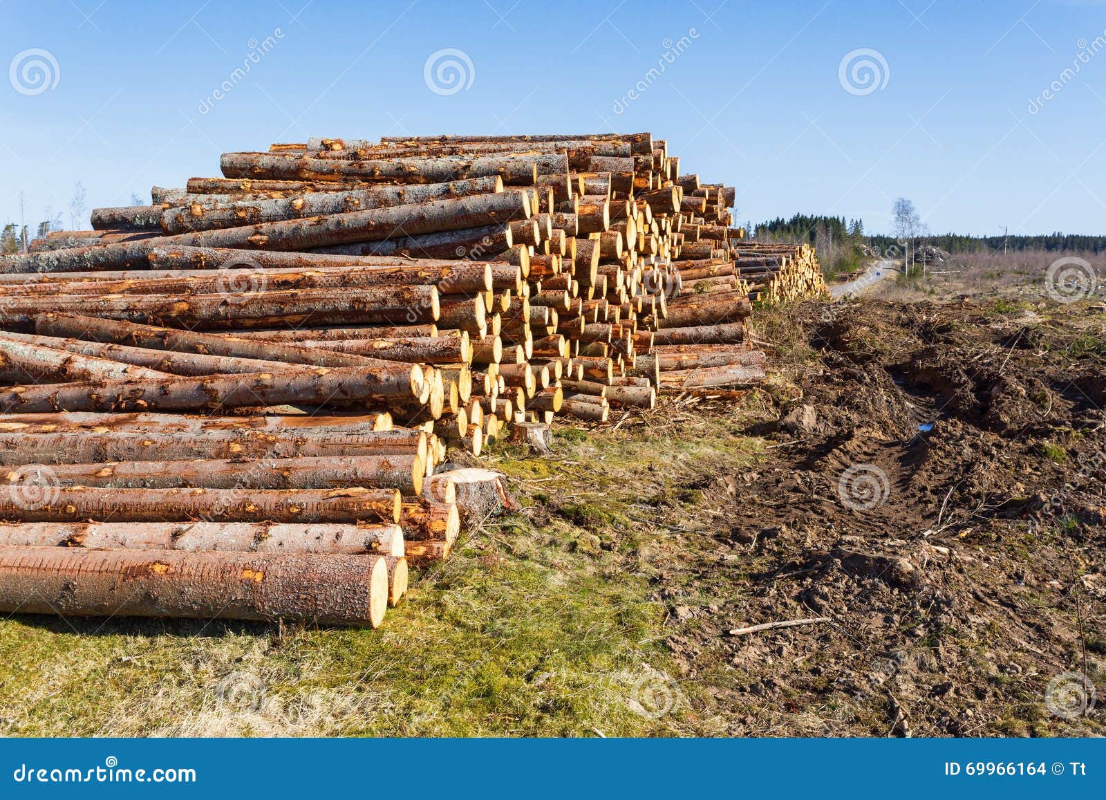 Timber Stack stock photo. Image of stacking, logs, forestry - 69966164
