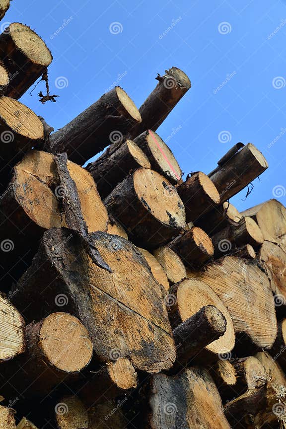 Timber stack stock image. Image of sizes, round, stack - 40117427