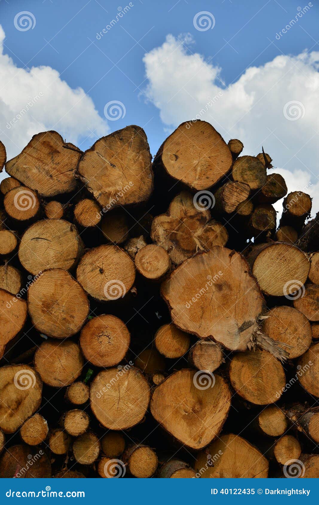 Timber stack stock image. Image of stack, clouds, foliage - 40122435