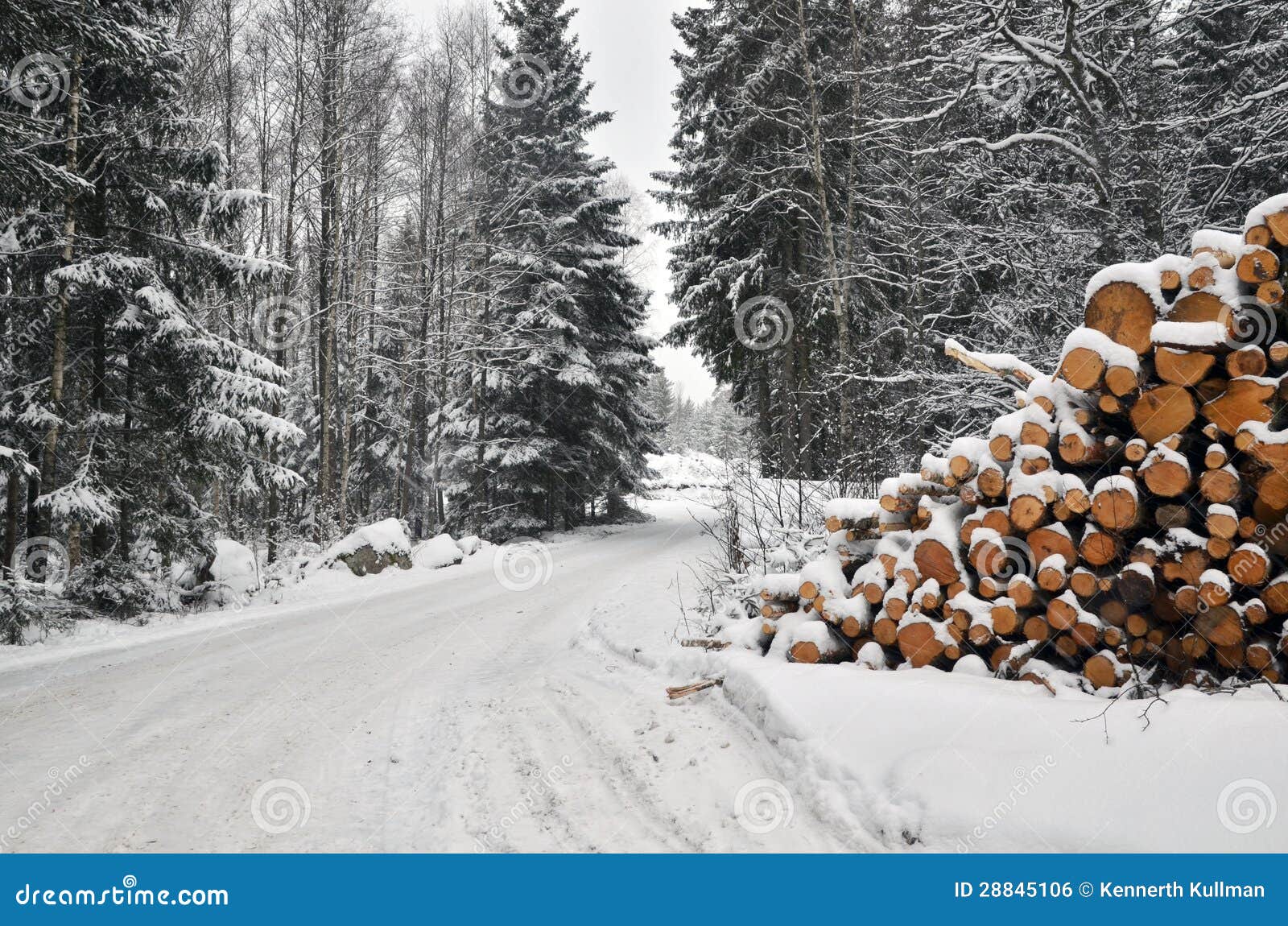 Timber stack at road stock photo. Image of nature, country - 28845106