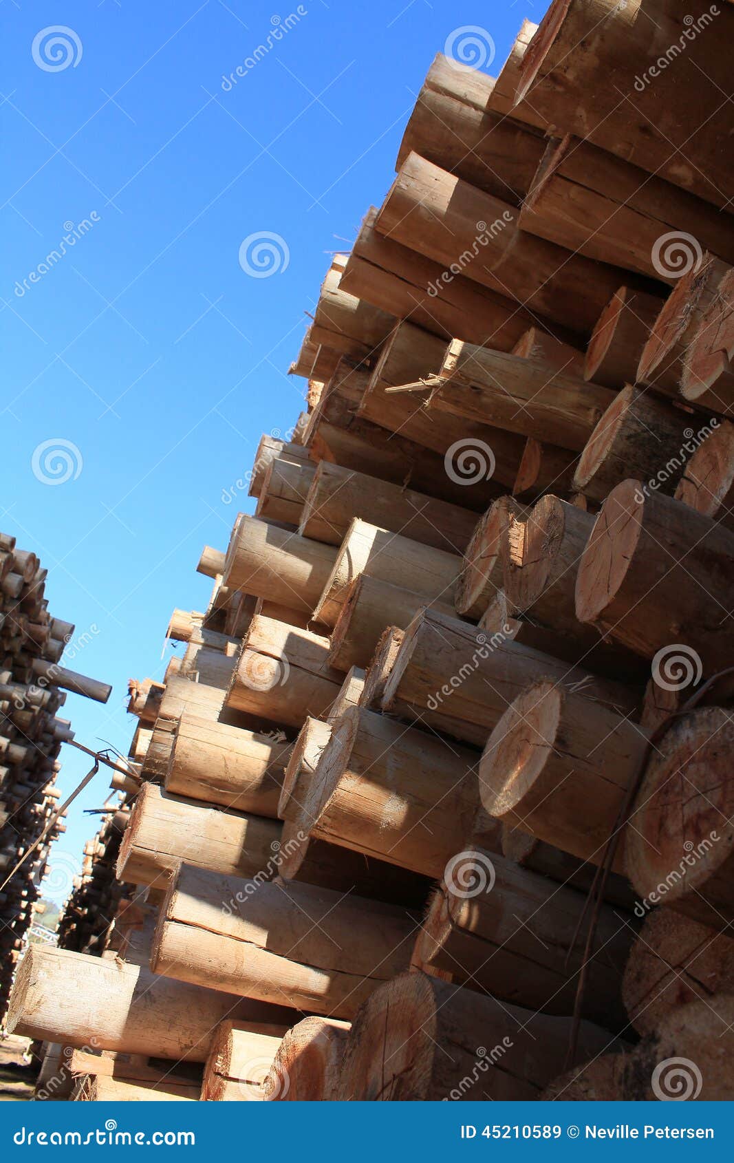 Timber Stack stock image. Image of ecology, forestry - 45210589