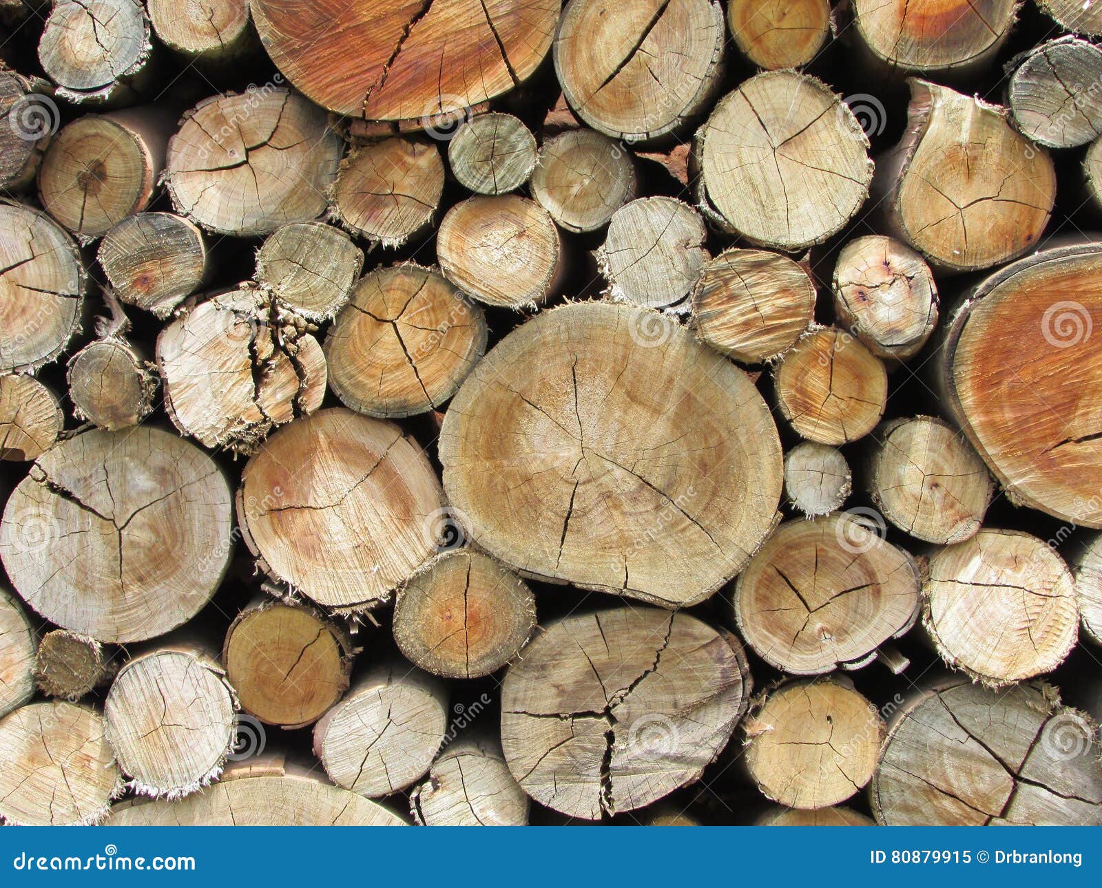 Close Up Shot of Cut Timber Stacked Cross Section Stock Image - Image ...