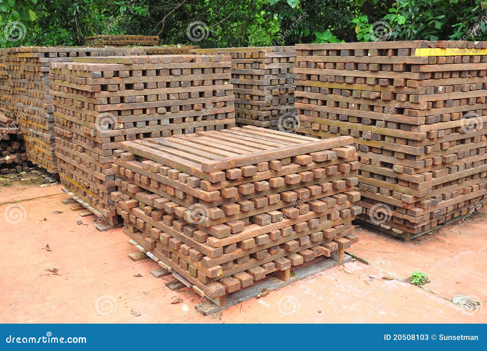 Timber Stacked Outdoor stock image. Image of forestry - 20508103
