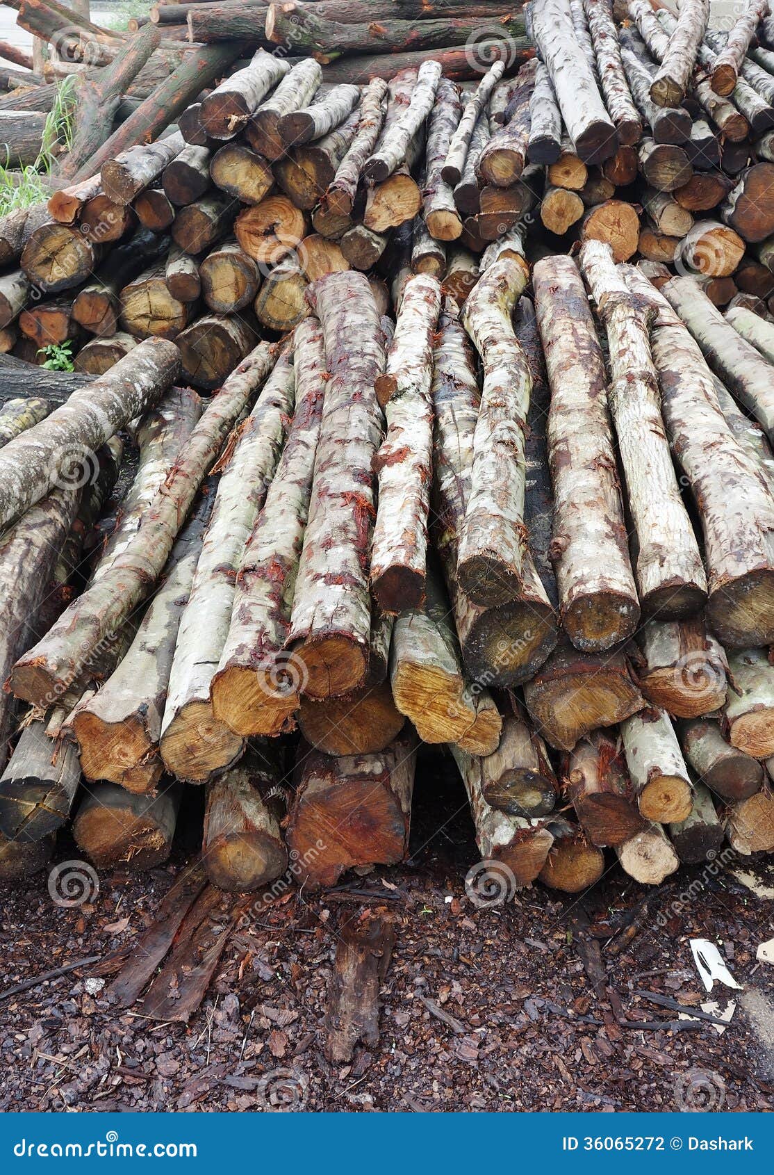 Timber Stacked stock photo. Image of building, stacked - 36065272
