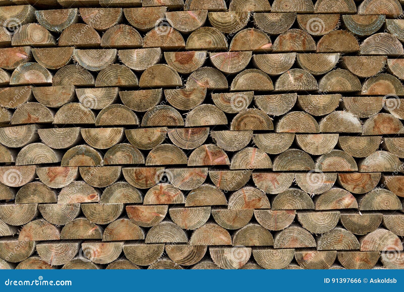 Timber stacking. stock photo. Image of stacking, lumber - 91397666