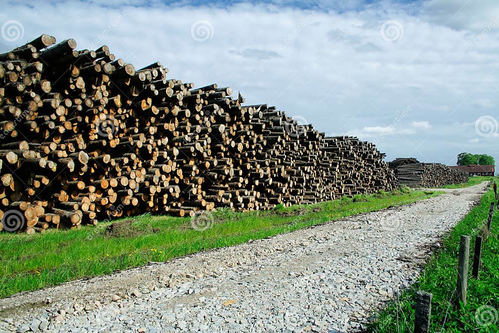 Timber stock stock image. Image of lumber, scale, timber - 897841