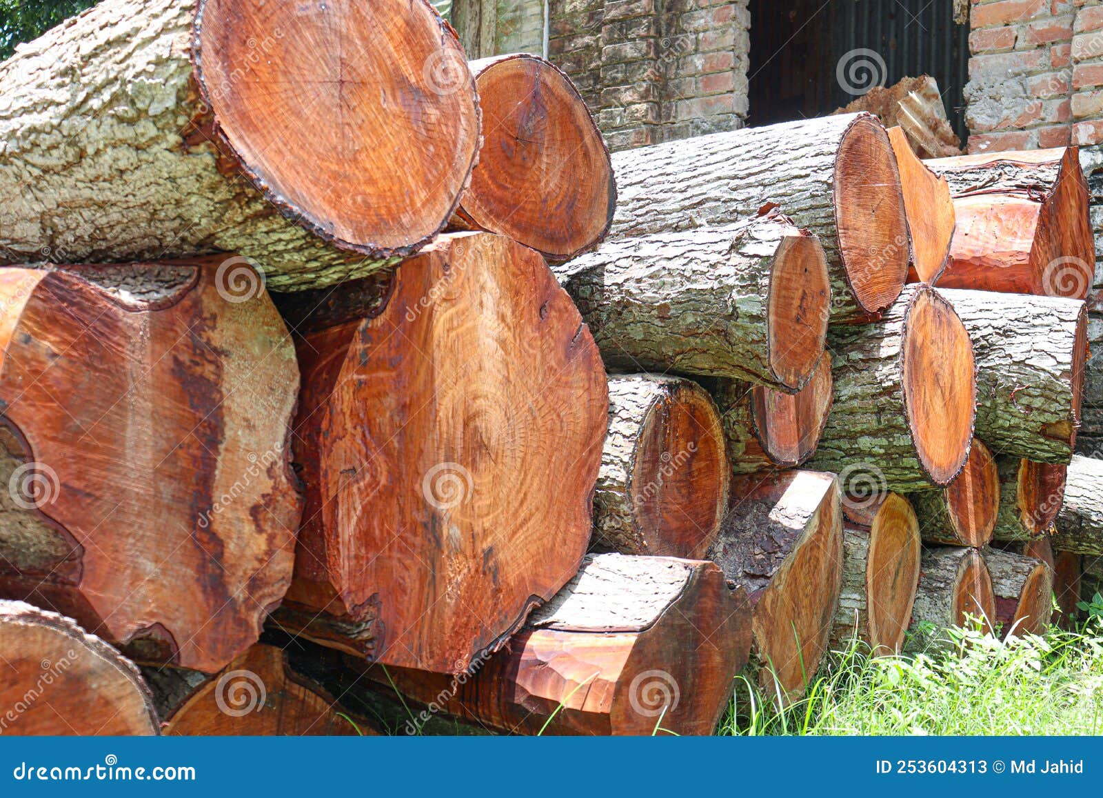 Timber stock on saw mill stock image. Image of twig - 253604313