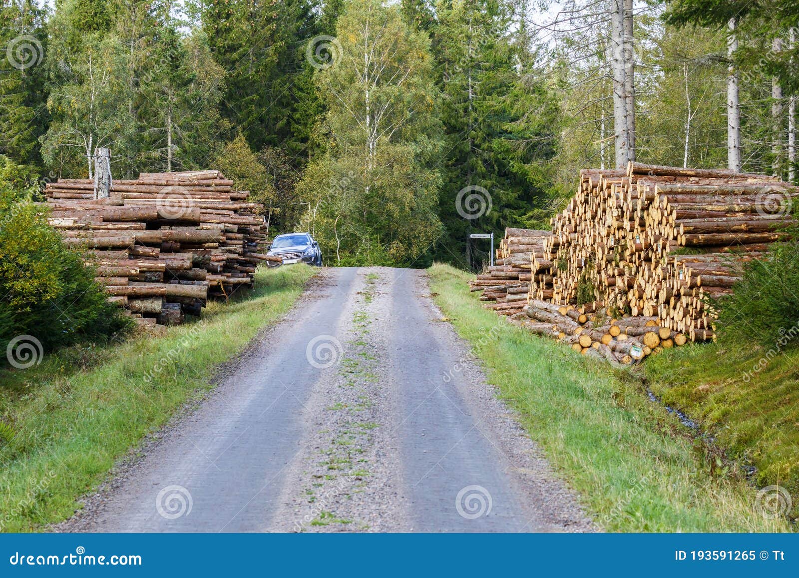 Pulpwood In A Timber Stack Royalty-Free Stock Photo | CartoonDealer.com ...