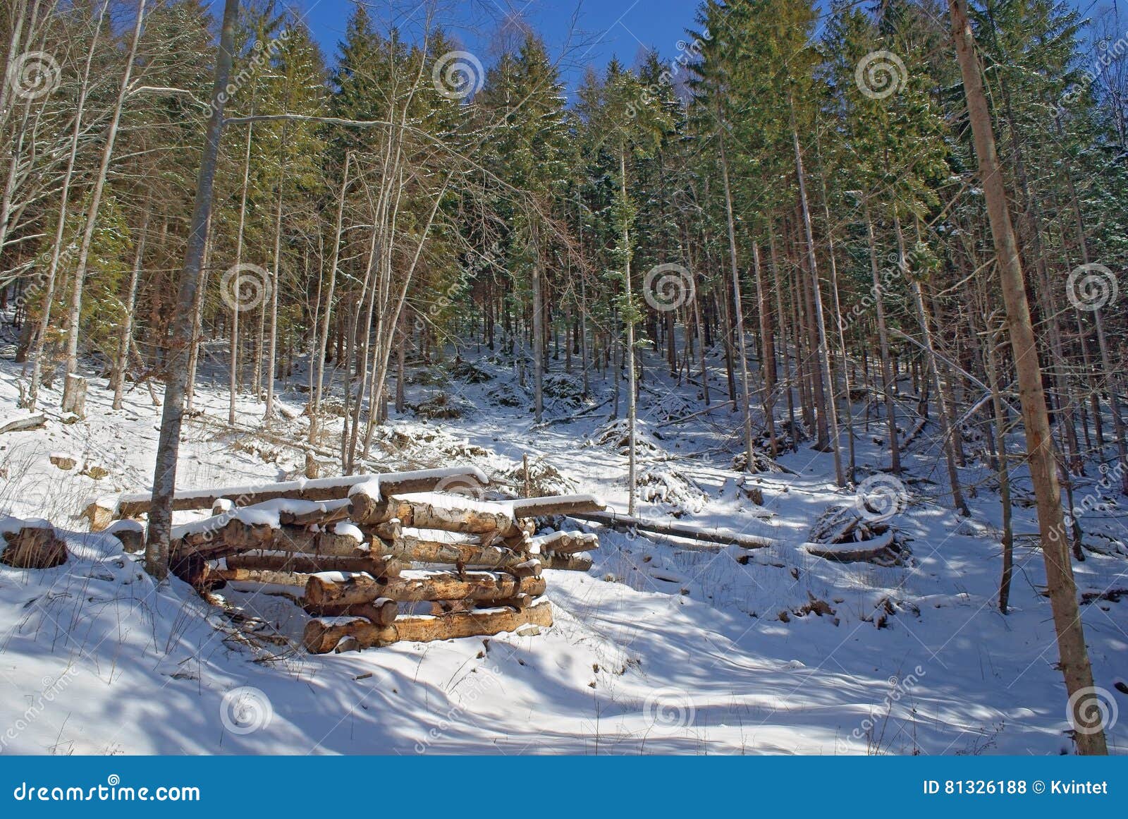 Timber Structures for Loading Logs at Slope in Winter Forest Stock ...