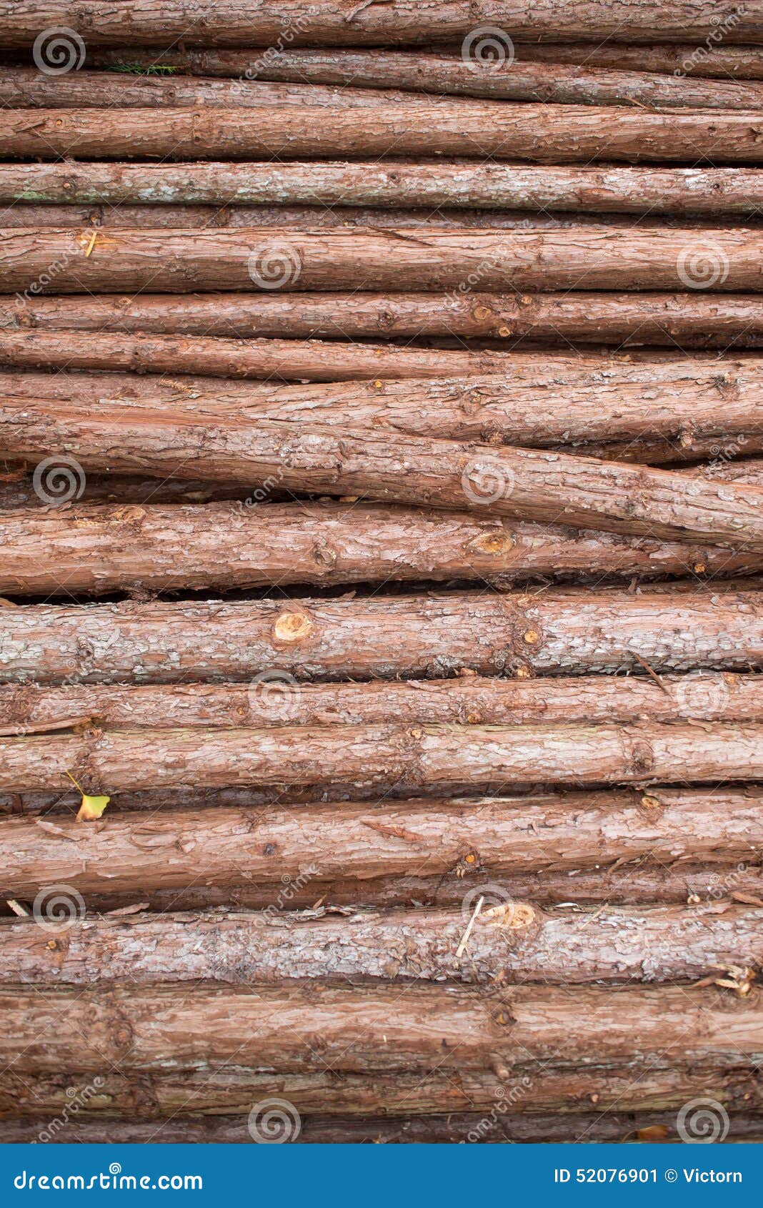 Timber texture stock image. Image of firewood, stick - 52076901