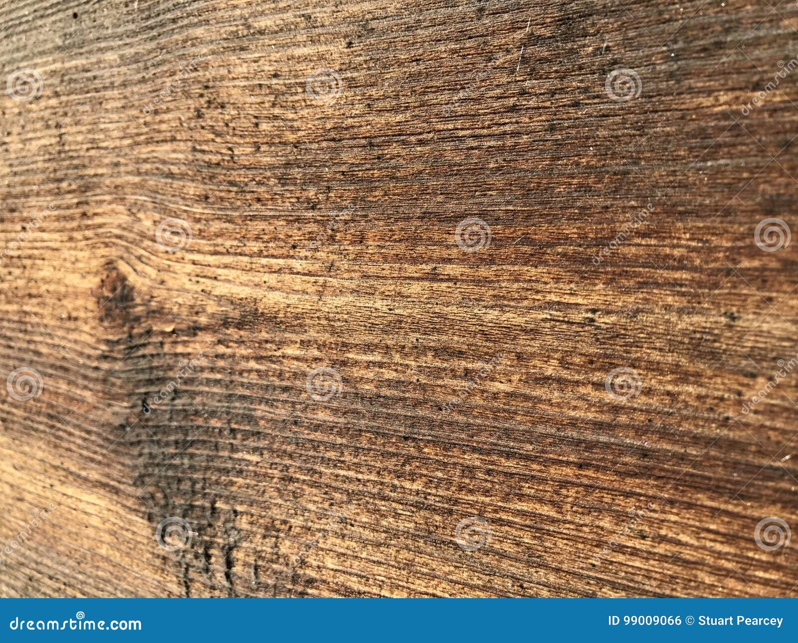 Timber texture stock photo. Image of background, showing - 99009066