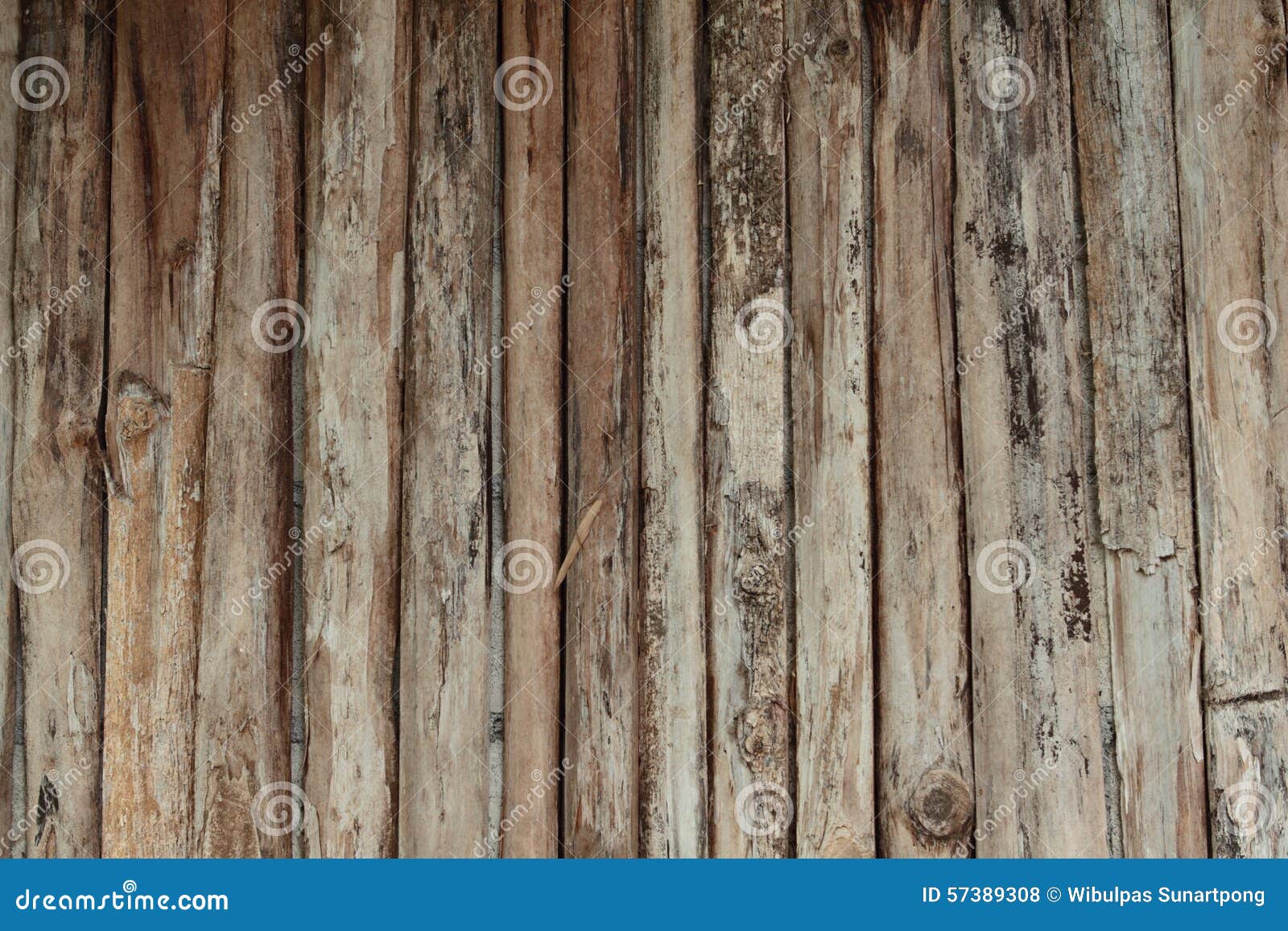 Timber texture stock photo. Image of plank, textured - 57389308