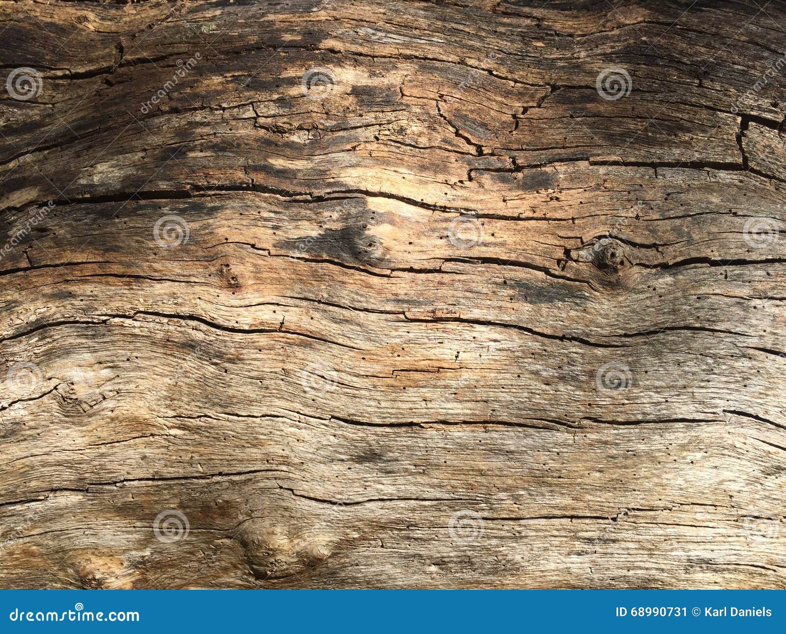 Timber Texture 04 Stock Image | CartoonDealer.com #68990731