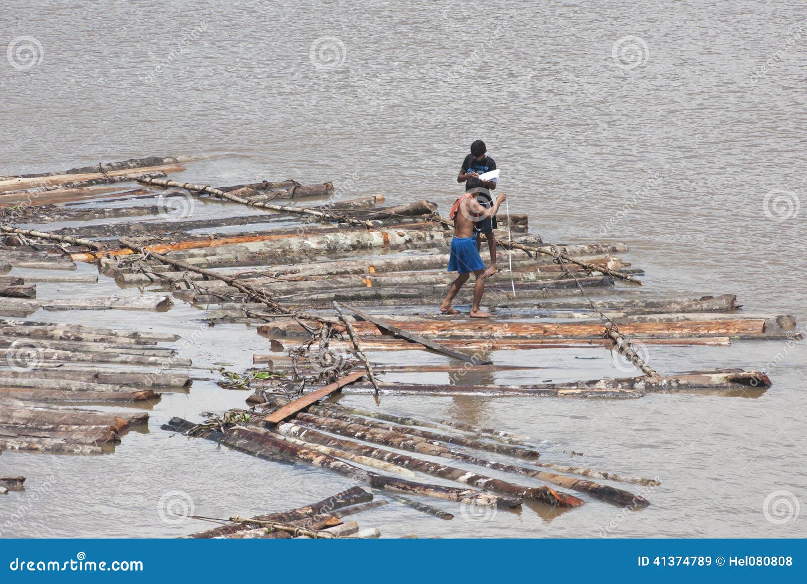 Timber Trade with Cleared Trees from the Amazon Rainforest in Brazil ...