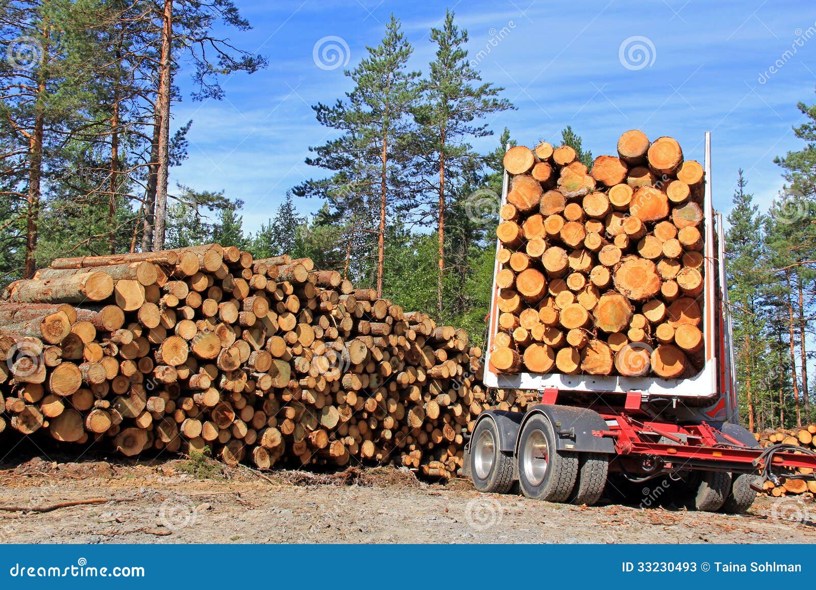 Timber Trailer and Stack of Logs Stock Image - Image of pine, logpile ...