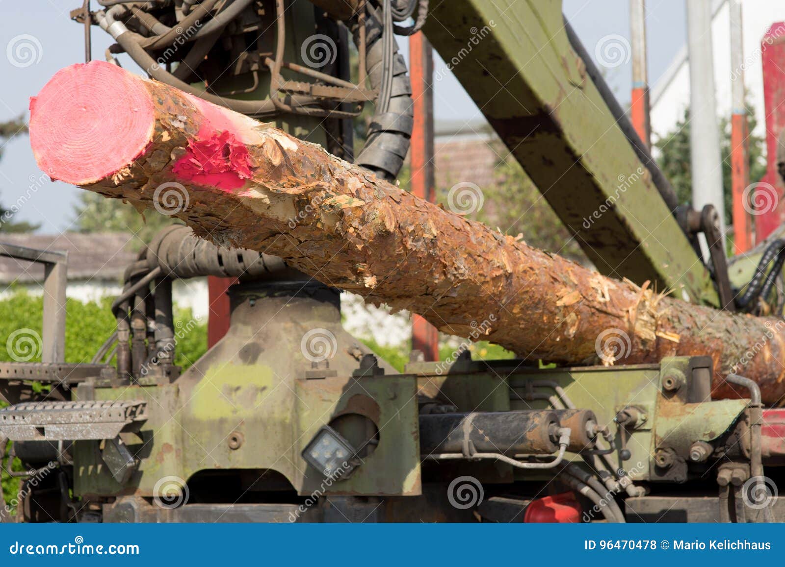 Timber transport stock photo. Image of timber, transport - 96470478