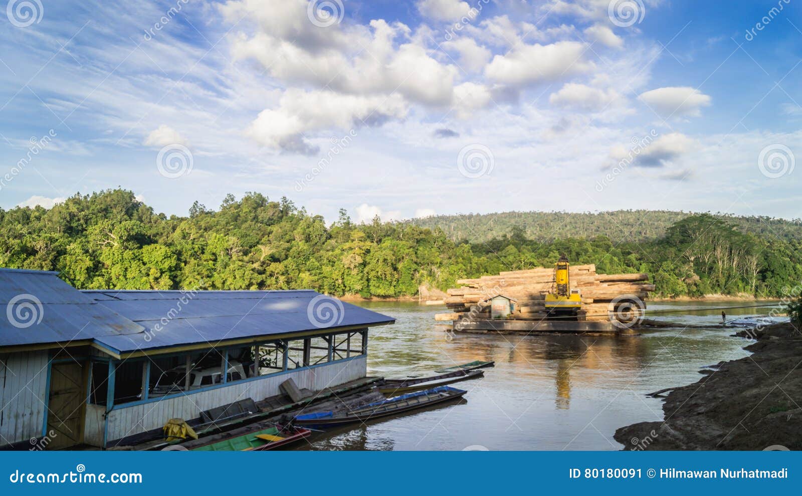 Stack of Huge Timber on a Barge in the River Surrounded by Green ...