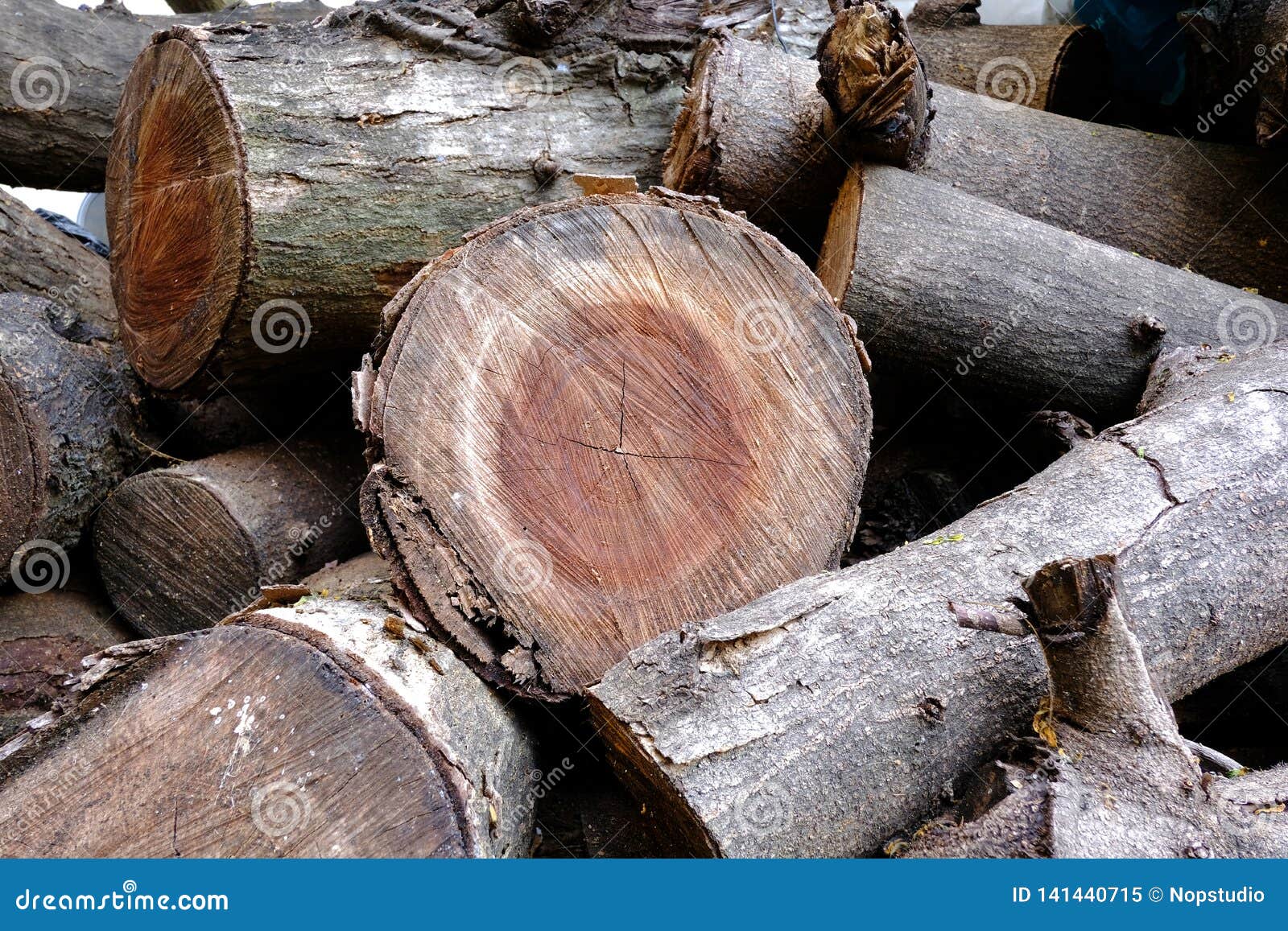 Cut Timber Tree Branches Royalty-Free Stock Image | CartoonDealer.com ...