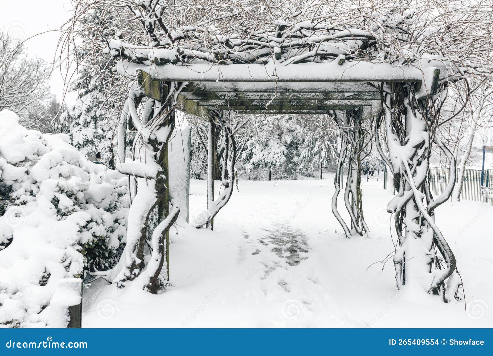 Timber Trellis Arch Covered in Snow during Winter Stock Photo - Image ...