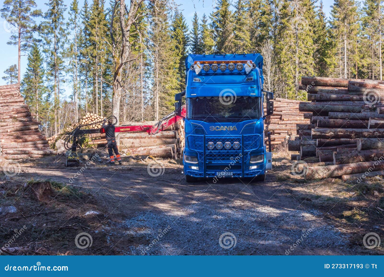Timber Truck To Load Timber in the Forest Editorial Stock Photo - Image ...