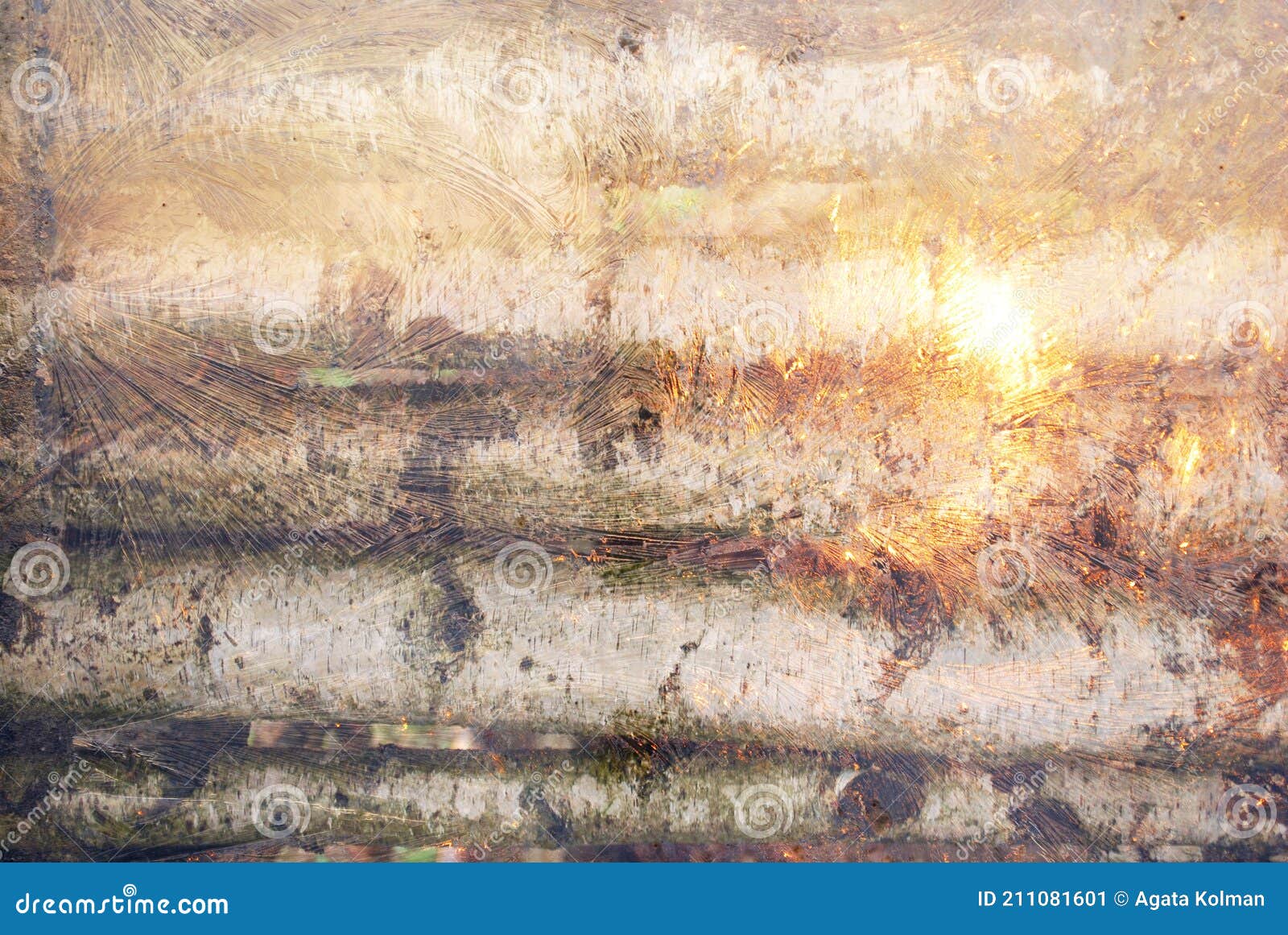 Timber Trunks of Birch Tree with Worm Light from Winter Glass Frost ...