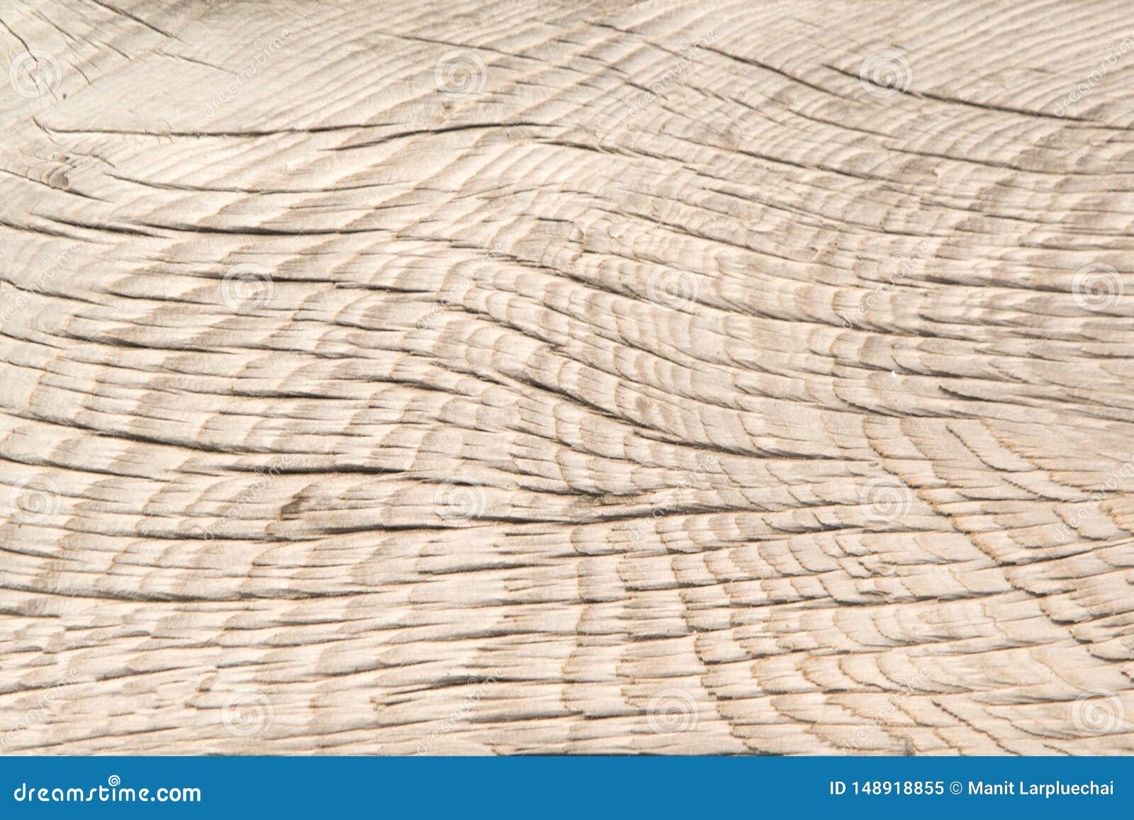 Timber Vintage Old Wood Texture and Background Surface. Stock Image ...